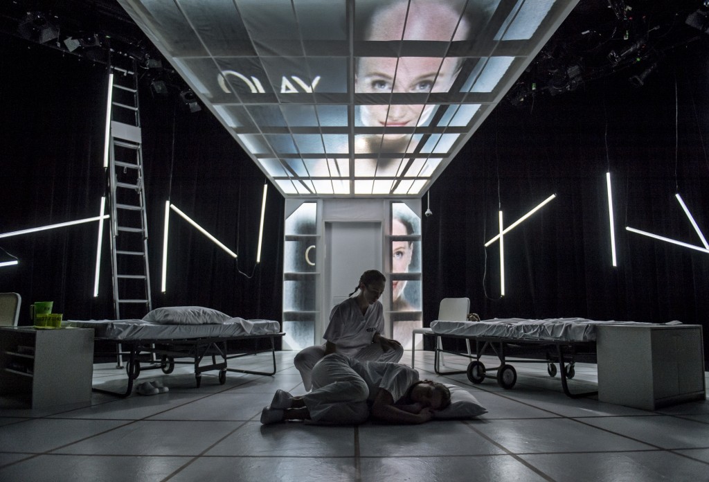 The Maggie Tree | Independent Women-Centric Theatre in Edmonton